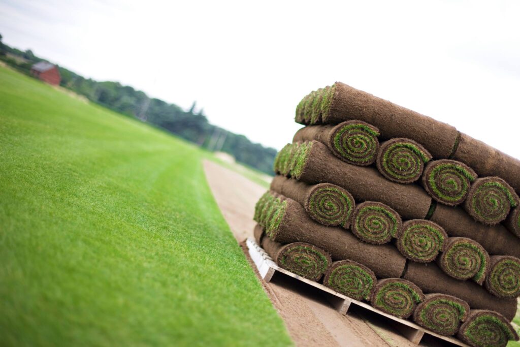Professional Turf Laying Services | The Lawn Turf Laying Company
