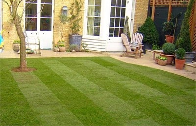 Gallery & Review - Lawn Turf Co